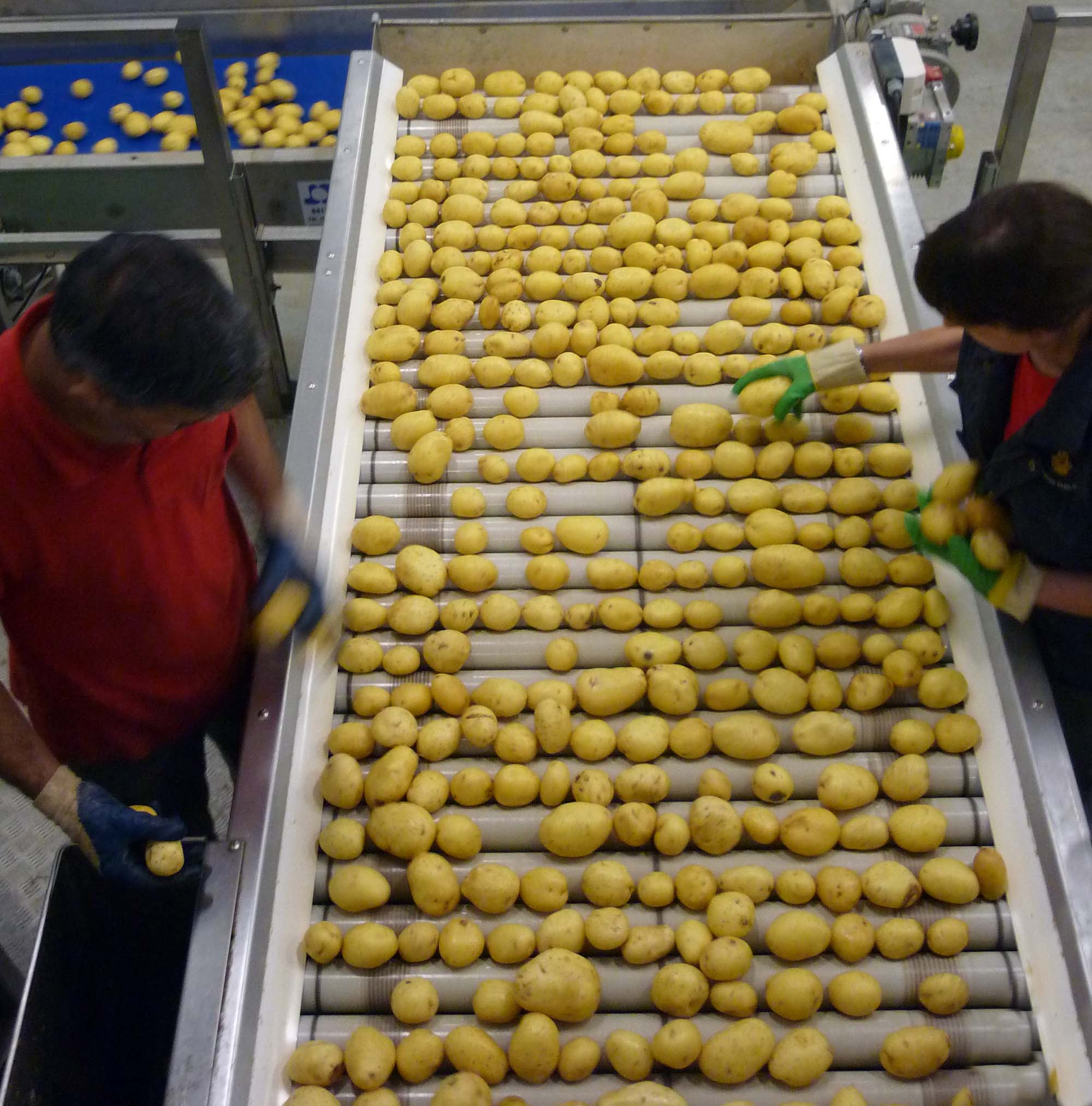 convoyeurs et les tables de triage - Noble (44)